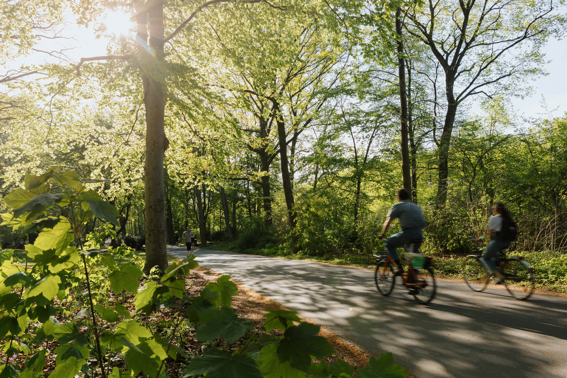 The Berlin Ring becomes a car-reduced zone? | Ampler Bikes
