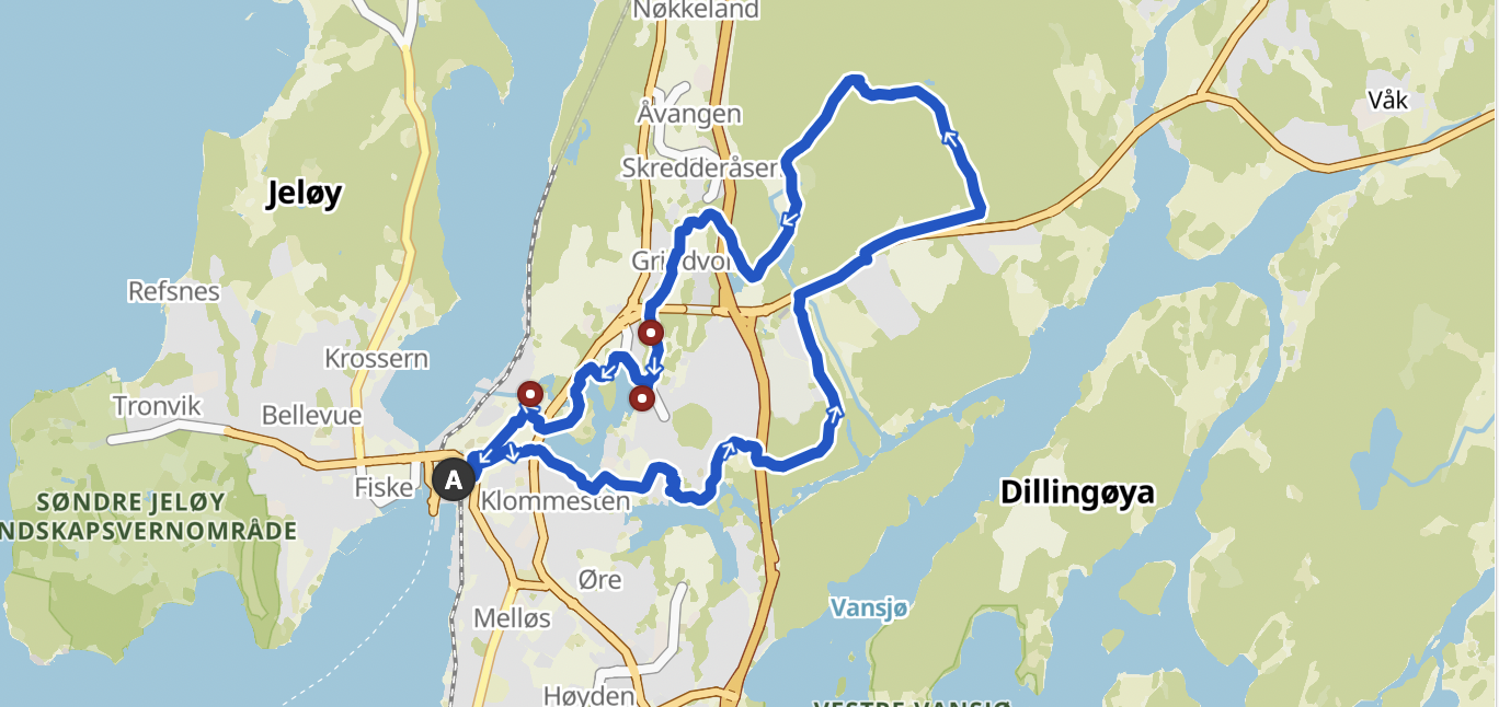 Fall's Gold - Easy forest routes | Ampler Bikes